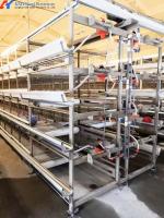 China Automatic Broiler Poultry Farming Equipment Galvanized H Type Battery Chicken Cages for sale