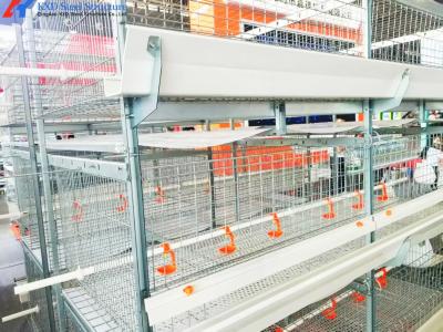 China Animal Feeding H Type Automatic Chicken Cage , Hen Battery Cages For Broilers for sale