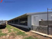 China Insulation Fireproof Piggery Shed   Poultry Farm Shed Building for sale