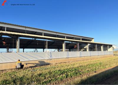 China Easy Install Piggery Shed Onsite Installation Steel Structure Piggery House for sale