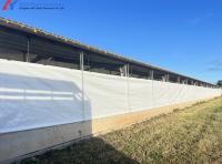 China Prefab Steel Structure Piggery Farm Equipment For Mating Shed / Farrowing Shed for sale