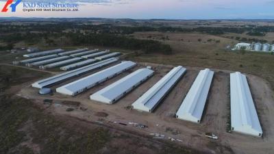 China Steel Structure Space Frame Piggery Shed , Cow House Shed Farm Building for sale