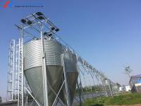 China Prefab Steel Structure Piggery Farm Equipment For Mating Shed / Farrowing Shed for sale