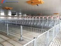 China Plastic Pig Dry Wet Feeder Automatic Dry And Wet Feeder Piggery Equipment for sale
