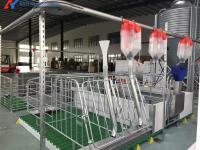 China Piggery Plastic Flooring , Poultry Plastic Slatted Floor For Pigs for sale