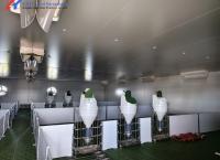 China Customized High Strength Pig Feeding System For Livestock Piglet for sale