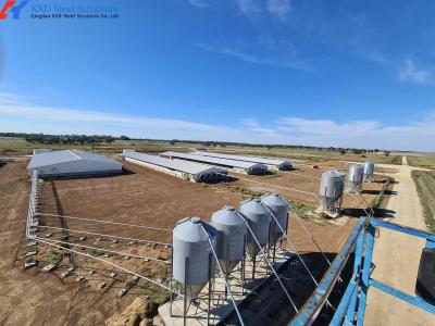 China KXD Prefabricated Piggery Shed Steel Structure Metal Goat Barn Onsite Installation for sale