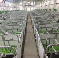 China 304 Stainless Steel Farrowing Crates , Farrowing Pens For Pigs for sale