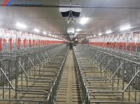 China 304 Stainless Steel Farrowing Crates , Farrowing Pens For Pigs for sale