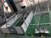 China Piggery Plastic Flooring , Poultry Plastic Slatted Floor For Pigs for sale