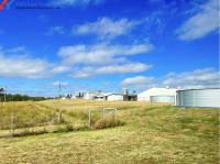China Fast Build Steel Structure Hog House / Hog Shed Customized for sale