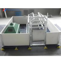 China SS304 Piggery Farm Equipment Durable Automatic Pig Feeder Quick Installation for sale