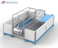 China Piggery Equipment Automatic Pig Feeder Stainless Steel Pigs Feeding Trough for sale
