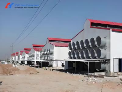 China Customized Light Steel Frame House , Galvanized Steel Poultry House for sale