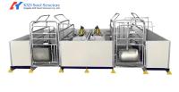 China Customized High Strength Pig Feeding System For Livestock Piglet for sale
