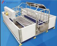 China Customized High Strength Pig Feeding System For Livestock Piglet for sale