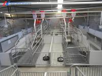 China Steel Pig Farm Shed Piggery Equipment Feeding Accessories Customized for sale