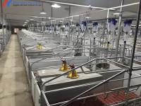 China Steel Pig Farm Shed Piggery Equipment Feeding Accessories Customized for sale