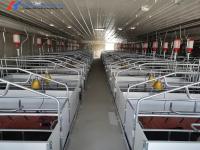 China Multifunctional Pig Farrowing Crates Galvanized Pig Farrowing Pen for sale