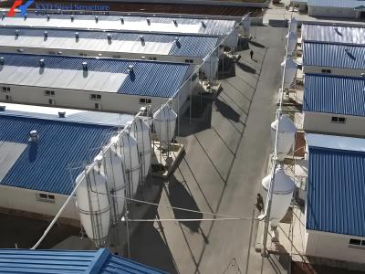 China Onsite Installation Piggery Shed Steel Structure Poultry Farming Shed For Livestock Piglet for sale