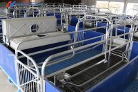 China Steel Structure Piggery Farm House Easy Install With Feeding System for sale