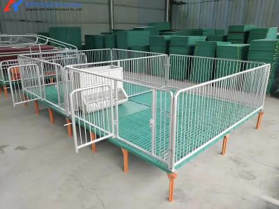 China Multifunctional Pig Farrowing Crates Galvanized Pig Farrowing Pen for sale