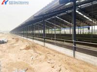 China Steel Cattle Sheds Easy Install Prefabricated Cow Farm Building for sale
