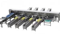 China Steel Chicken Egg Peeler Machine Automatic Chicken Egg Shell Remover Machine for sale
