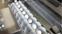 China 5000Pcs/H Poultry Farm Chicken Egg Cleaning Machine Stainless Steel Duck Egg Washing Machine for sale