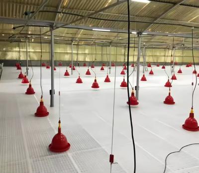China Poultry Farm Plastic Slatted Floor , Poultry Slatted Floor For Chicken House for sale