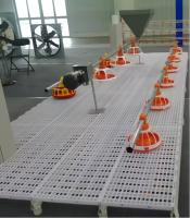 China Plastic Automated Poultry Feeder Drinker  ,  Full Automatic Animal Feeder for sale