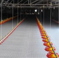 China Steel Poultry Farm Automatic Feeding System For Broilers And Layers for sale