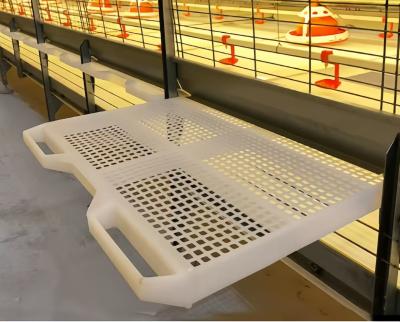China Anti Rust Broiler Pan Feeding System Automatic Plastic Slat Floor For Poultry for sale