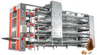 China H Type 4 Tier Chicken Cage Automatic Poultry Battery Cages Poultry Equipment for sale