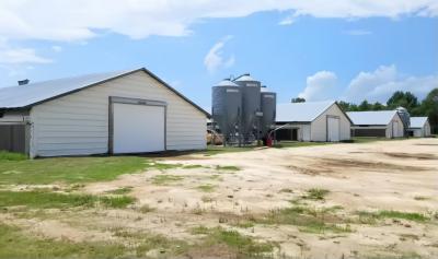 China Galvanized Steel Chicken Farm Layer Poultry Farming Equipment for sale