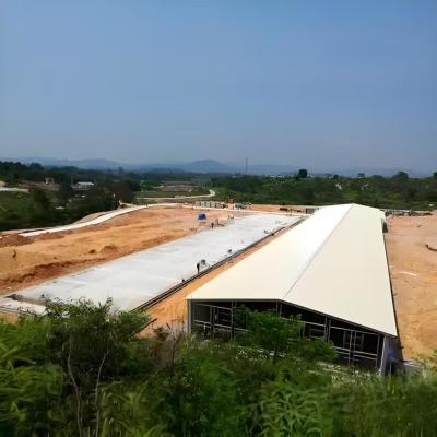 China Frame Steel Structure Poultry Shed Chicken Farm Building House for 10000 Chickens for sale