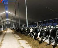 China Anti Rust Galvanized Steel Cattle Yard Panels For Farm Fencing for sale