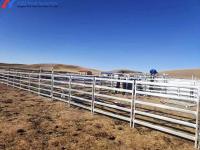 China Modern Cattle Sheds Steel Structure Cow Barn And Cow Shed Customized for sale