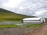 China Livestock Shelter Dairy Farm Barn Custom Steel Structure Cow Shed For Live Cattle for sale