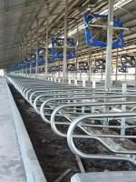 China Steel Frame Cattle Sheds Dairy Cow House Hanging Type Exhaust Cooling Fan for sale