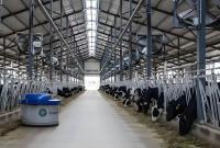 China Steel Frame Cattle Sheds Dairy Cow House Hanging Type Exhaust Cooling Fan for sale