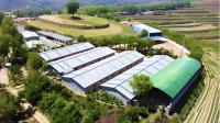 China Livestock Shelter Dairy Farm Barn Custom Steel Structure Cow Shed For Live Cattle for sale
