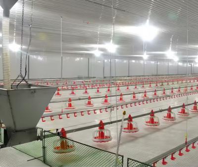 China Steel Poultry Farm Automatic Feeding System For Broilers And Layers for sale