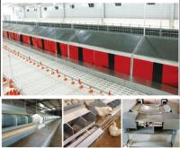 China Easy Operate Poultry Farm Automatic Laying Nest PP for sale