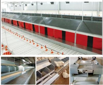 China Easy Operate Poultry Farm Automatic Laying Nest PP for sale