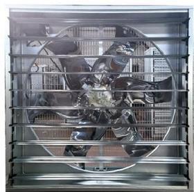 China Automatic Broilers / Hens Chicken House Exhaust Fans Ventilation for sale