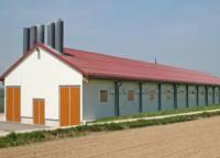 China Steel Structure Poultry House and Poultry Farming Design for Layers for sale