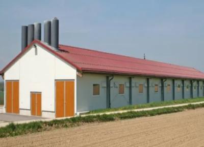 China Steel Structure Poultry House and Poultry Farming Design for Layers for sale