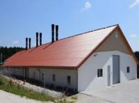 China Steel Structure Poultry House and Poultry Farming Design for Layers for sale