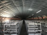 China Cheap Price Automatic Chicken House Broiler Poultry Farming Farm Machine Equipment for sale